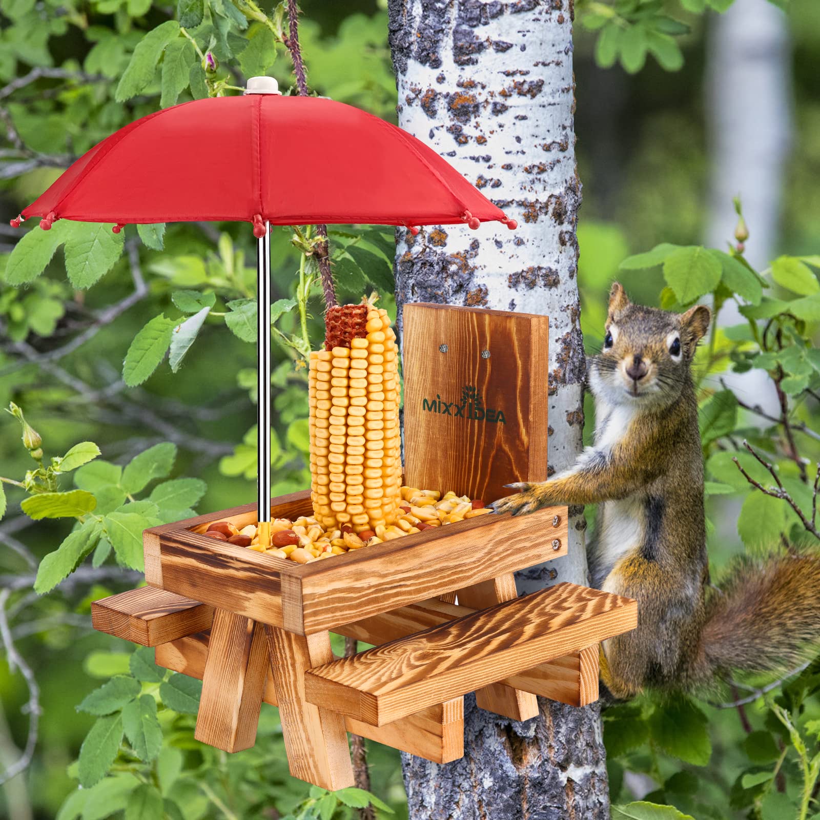 Everything You Need to Know About Squirrel Feeders: How to Attract and ...