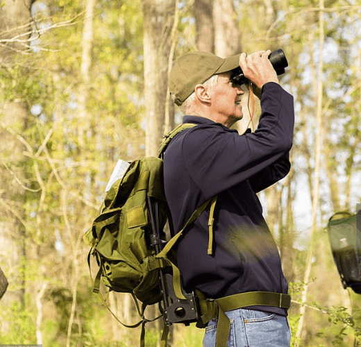 Discovering Nature's Symphony: Bird Watching Tips for Americans – Mixxidea