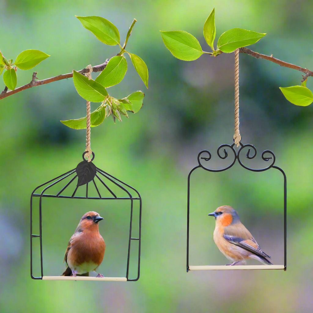 Hummingbird Feeders for Sale - 2-Pack Bird Swings – Mixxidea